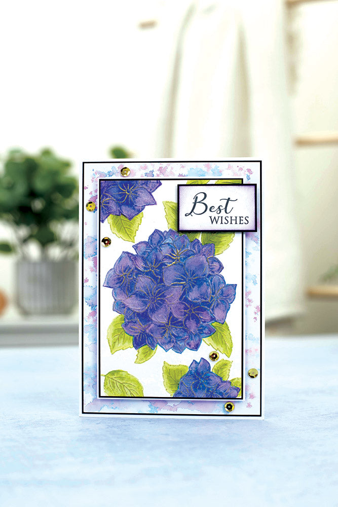 Gemini Illustrated Embossing Folder - Butterfly Hydrangea | Crafters ...